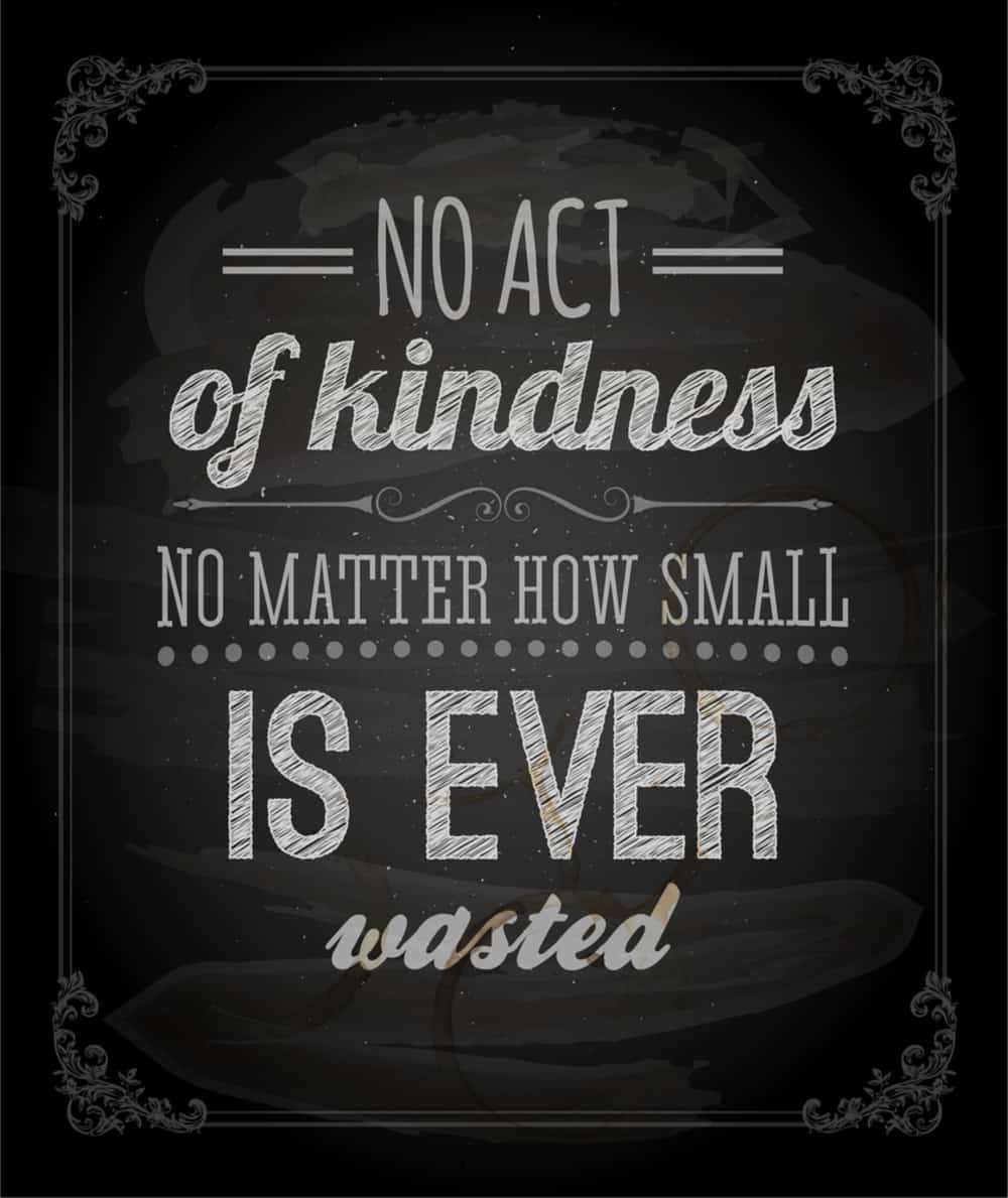 The Kindness Hustle