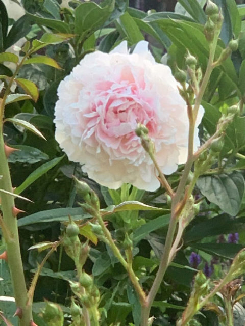 Numerology Blog: The Hit List – Blame it on the planets…or not