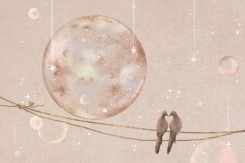 New Moon in Gemini 2026 - and Tarot Readings for Every Zodiac Sign ...